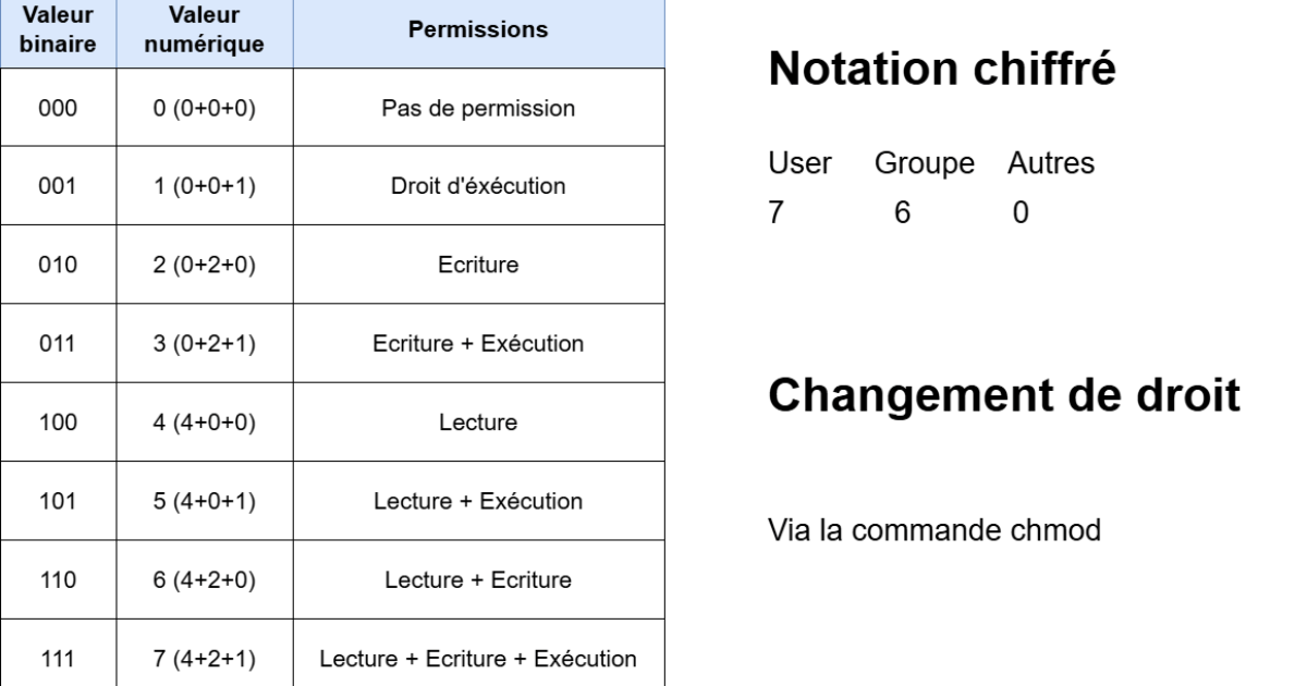 Linux 101 : Le guide accessible pour maîtriser les permissions